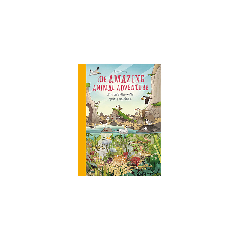 The Amazing Animal Adventure Book | Tea Collection