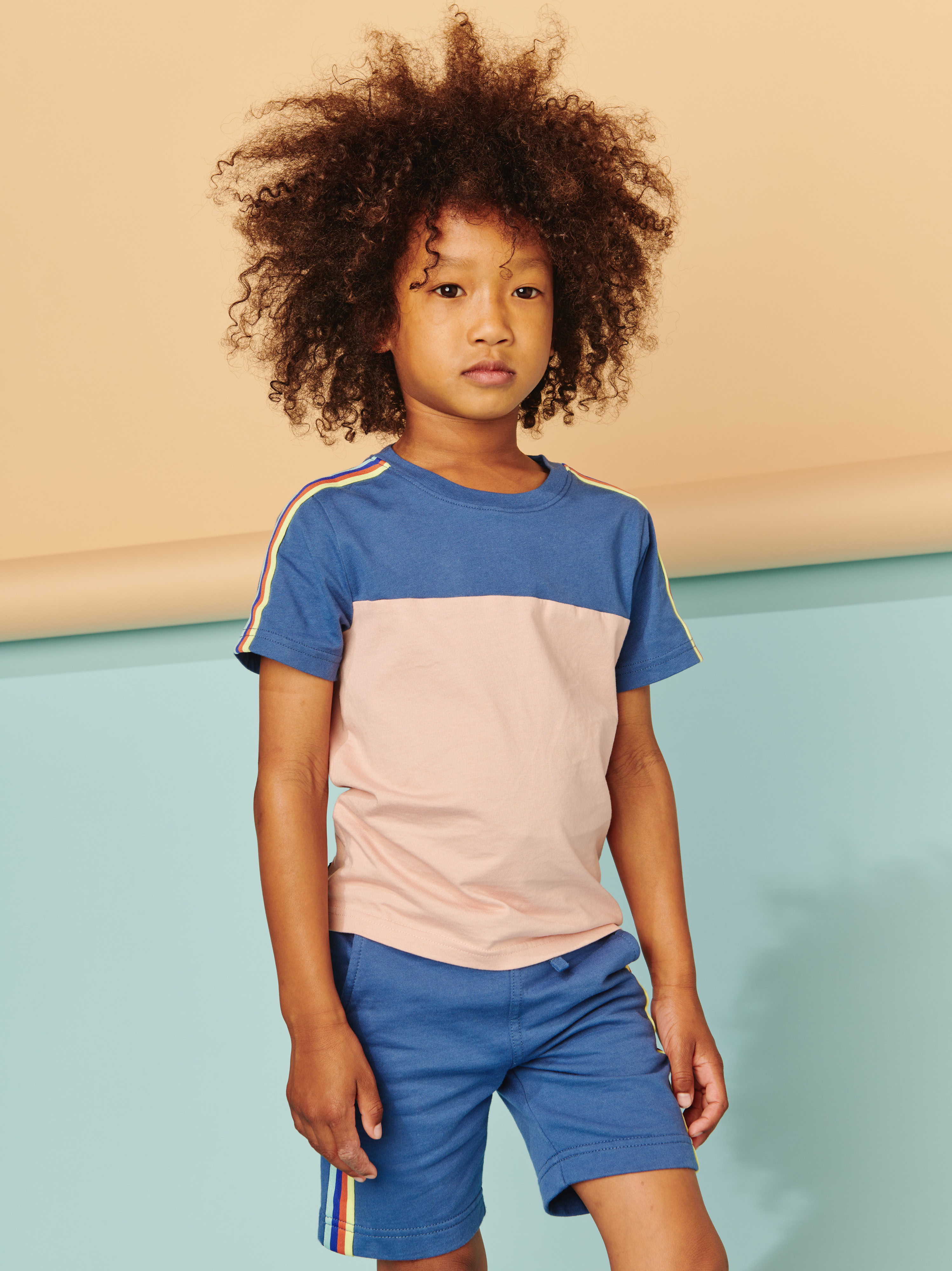 Colorblock Top | Tea Collection